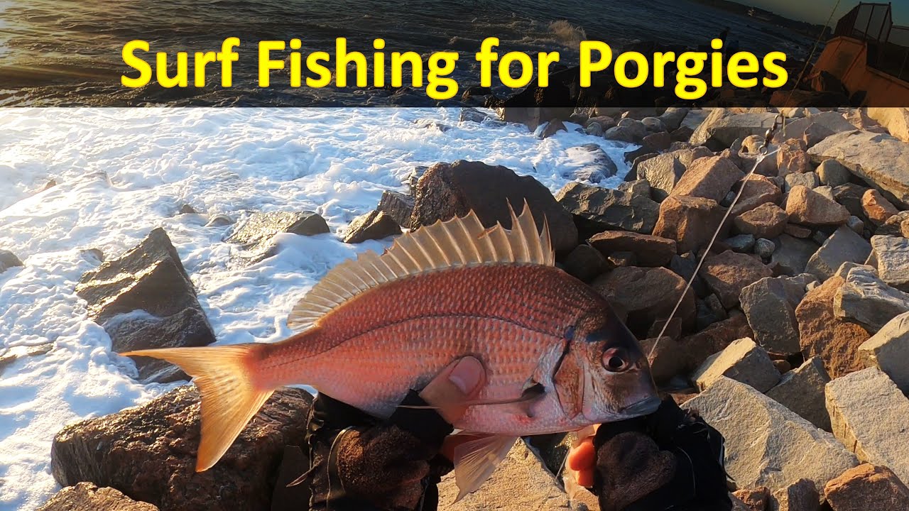Surf Fishing for Porgies in RI - YouTube