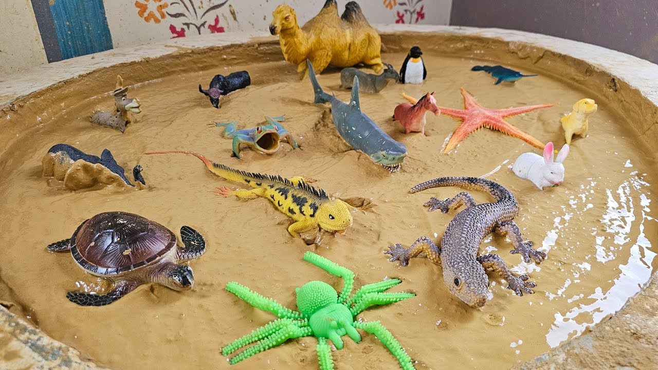 Nature’s Big Party: Farm Animals, Ocean Friends, and Bug Buddies! - YouTube