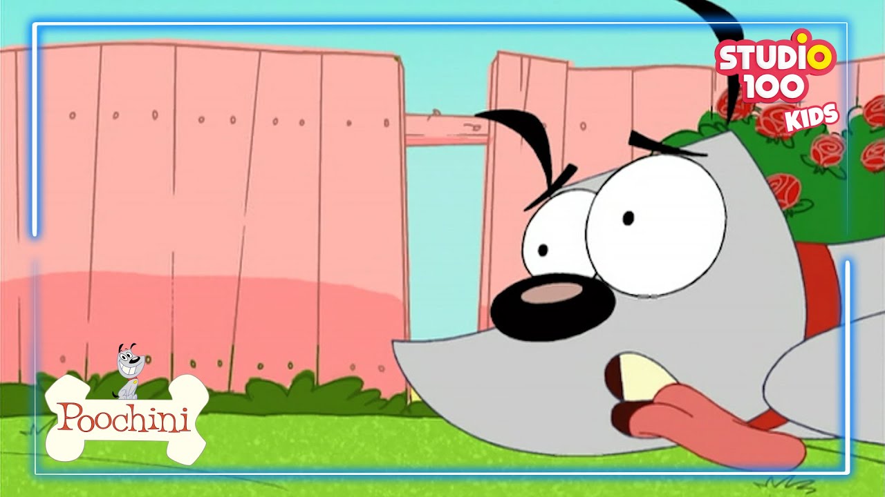 Reisefieber🐕 - Poochini - Studio100 KIDS - YouTube