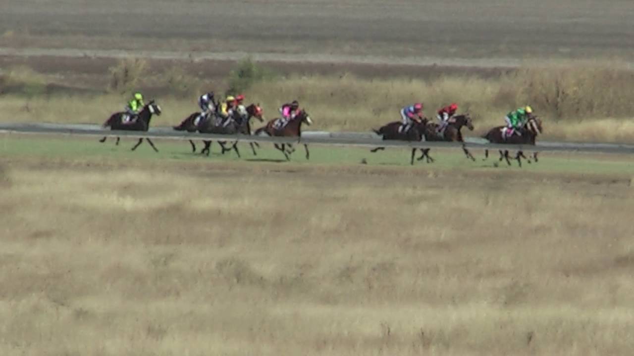 Thangool Races 21st May 2016 - YouTube