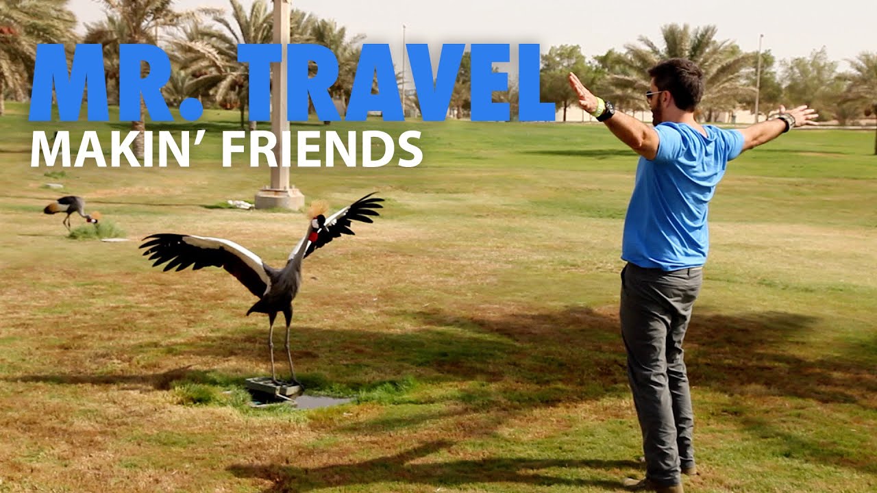 Mr. Travel: Makin' Friends with Birds - YouTube