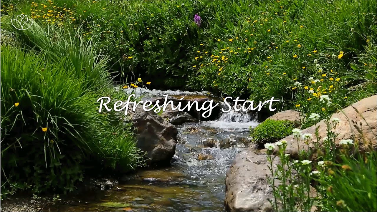 Morning Harmony: Relaxing Piano Music and Natural Ambience - YouTube