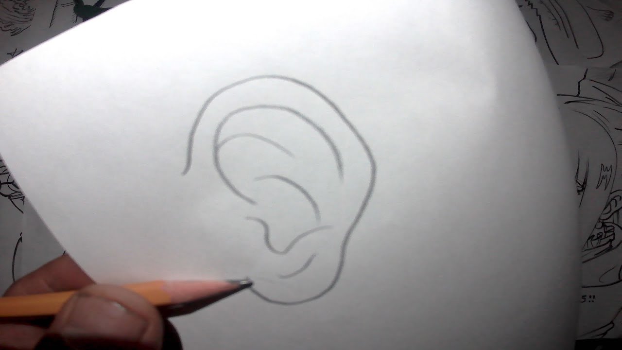 COMO DIBUJAR UNA OREJA NIVEL SECUNDARIA A PULSO PASO A PASO - YouTube