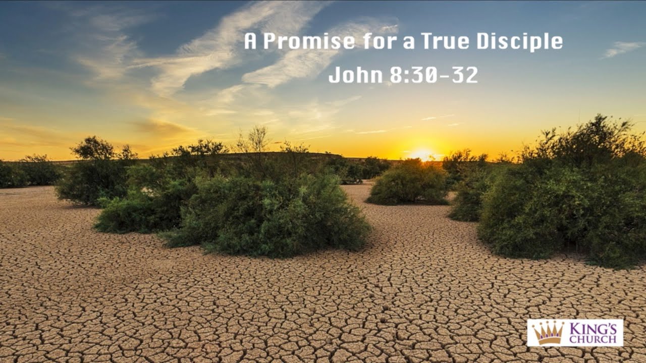 A Promise For True Disciples YouTube a-promise-for-true-disciples-youtube