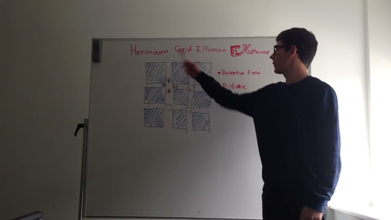 Hermann Grid Explained please Hand stand While Watching YouTube hermann-grid-explained-please-hand-stand-while-watching-youtube