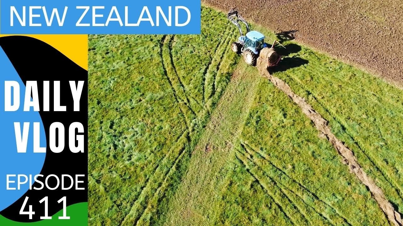 Feeding cows silage with tractor [ Life in New Zealand Daily Vlog #411 ...