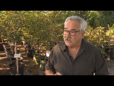 What Happened To Paul James Gardening By The Yard