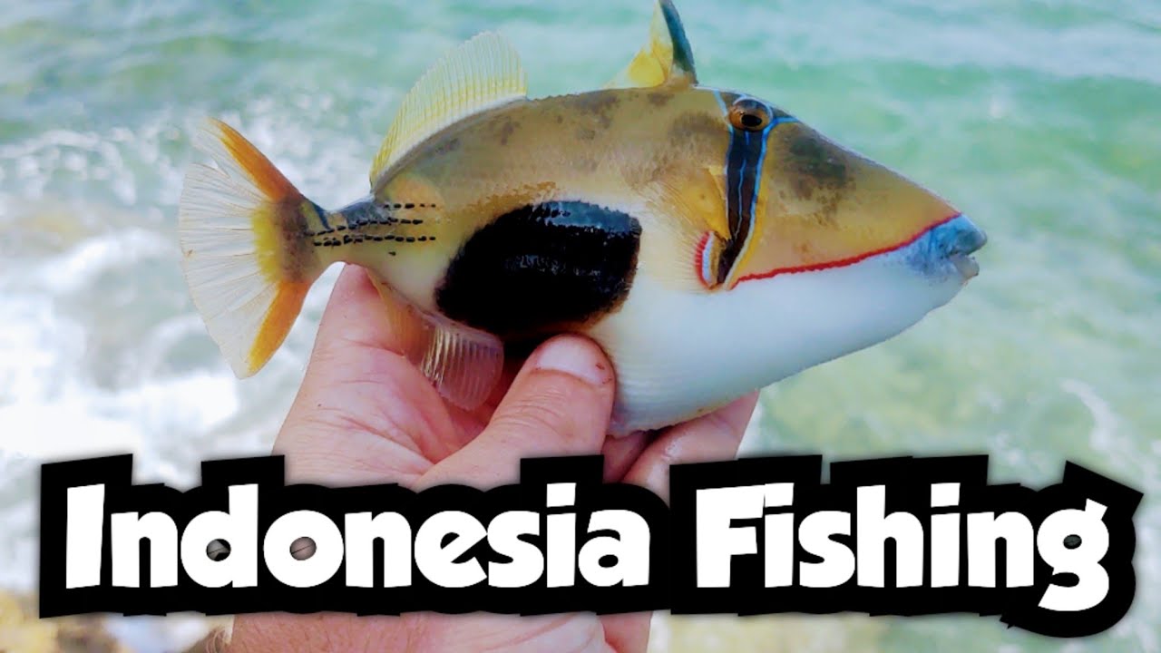 First Fishing Session on Bali | Indonesia Fishing 🇮🇩 - YouTube