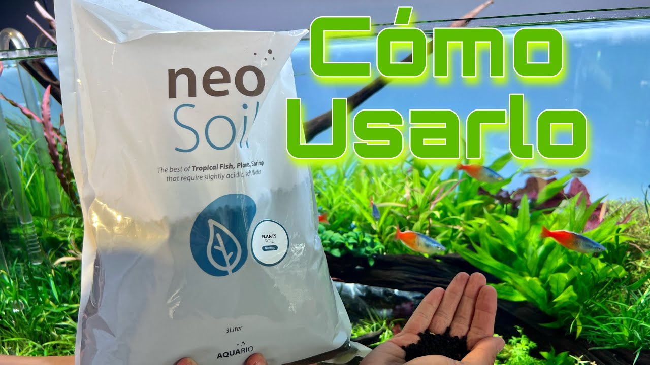 Cómo usar el sustrato nutritivo Neo Soil - YouTube