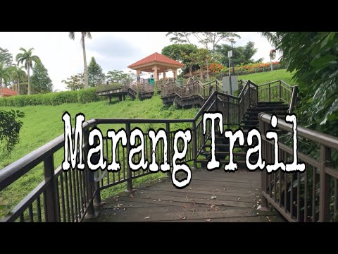 MARANG TRAIL/MOUNT FABER PEAK SINGAPORE - YouTube