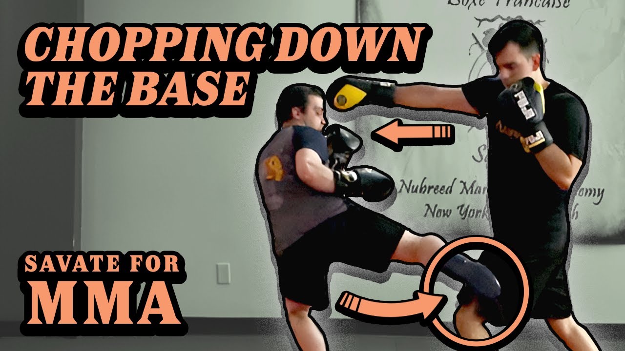 Savate Leg Kick Tactics. Applying Low Kicks From Versatile Angles ...