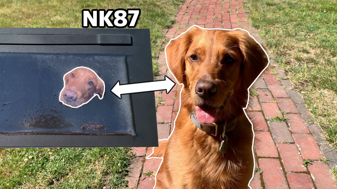 I let my DOG mod my NK87... - YouTube