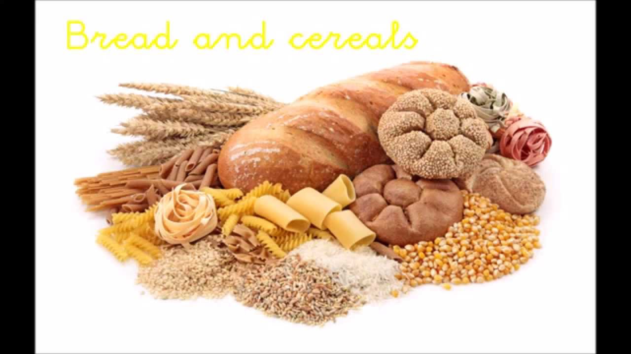 Science 2 Unit 2 Food groups review - YouTube