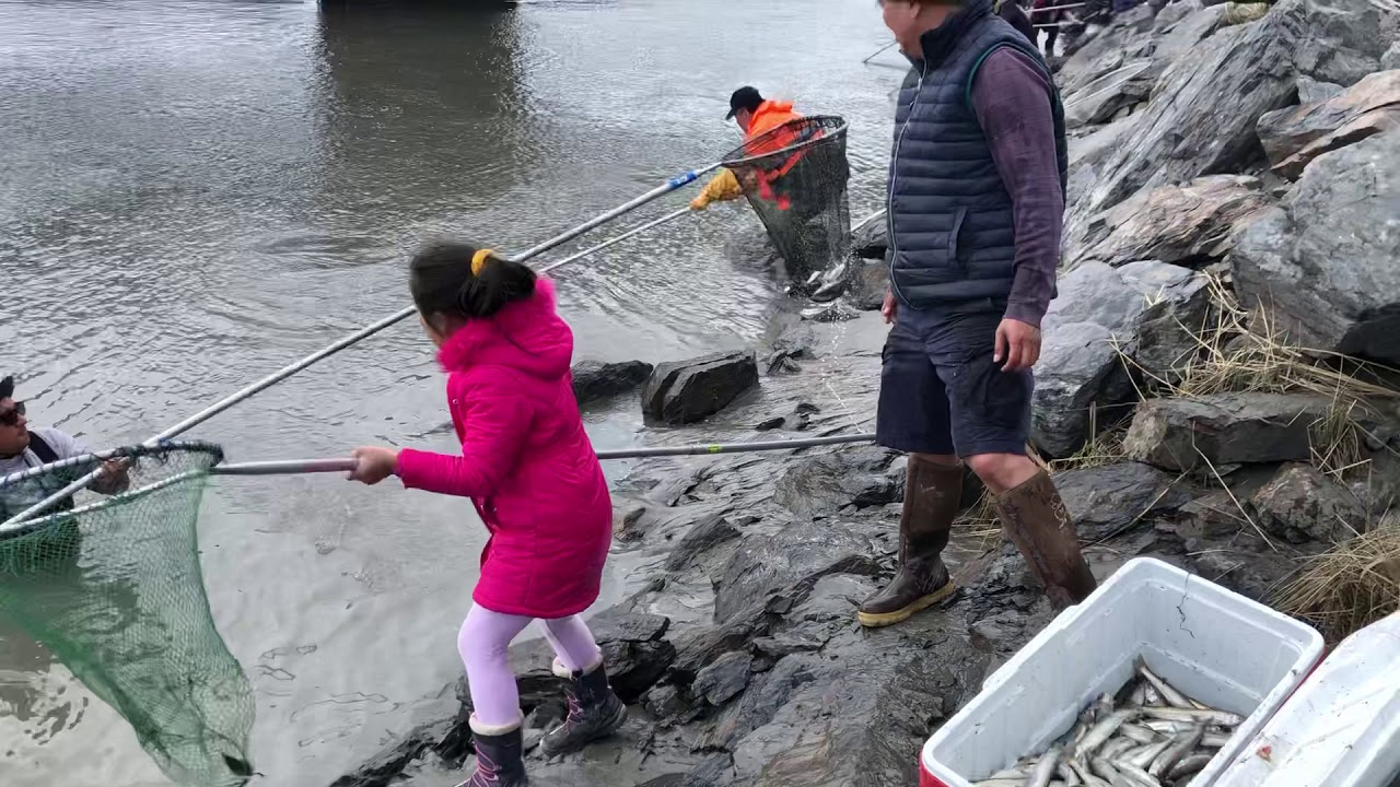 Hooligan Fishing Alaska - YouTube