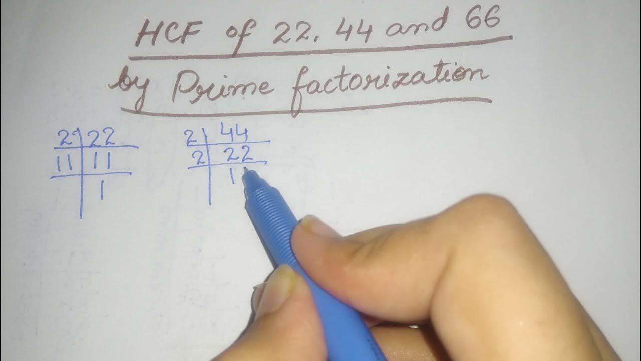 HCF of 22, 44 and 66 by prime factorization method || in Urdu/Hindi ...