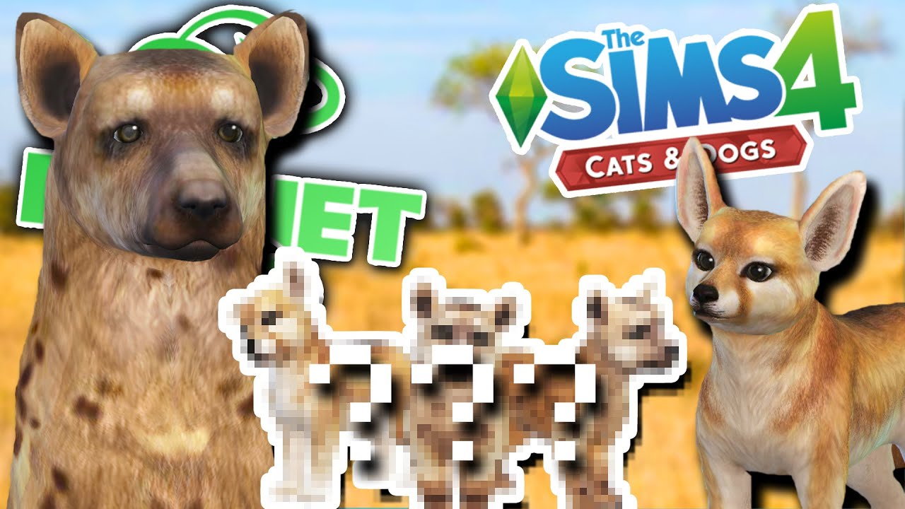 Breeding HYENA and Fennec Fox Pups?! 🦥💕🐆 - YouTube