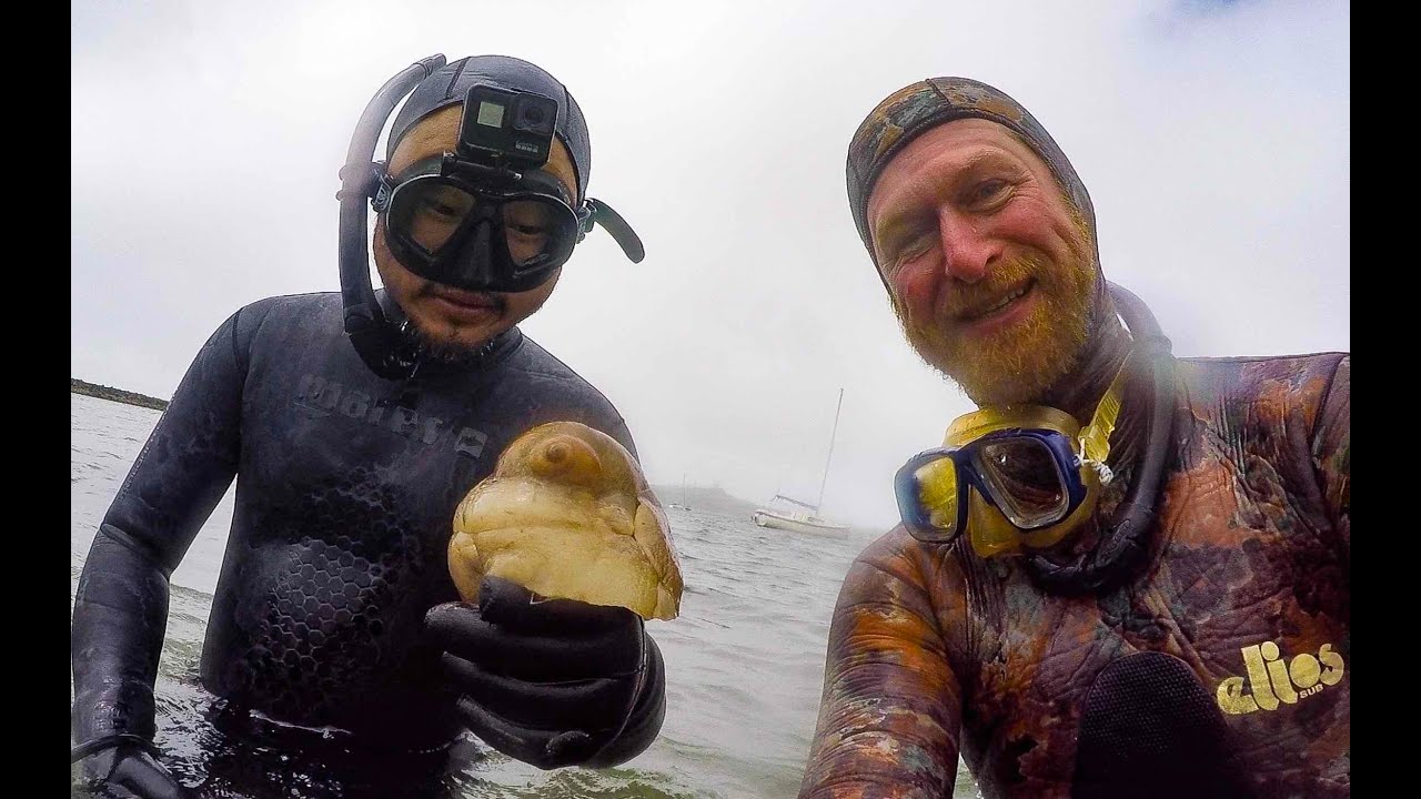 FREEDIVE Catch and Cook This HUGE....!! - YouTube