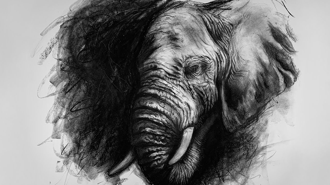 Expressive Charcoal Drawing of an Elephant - Sad Elephant - YouTube