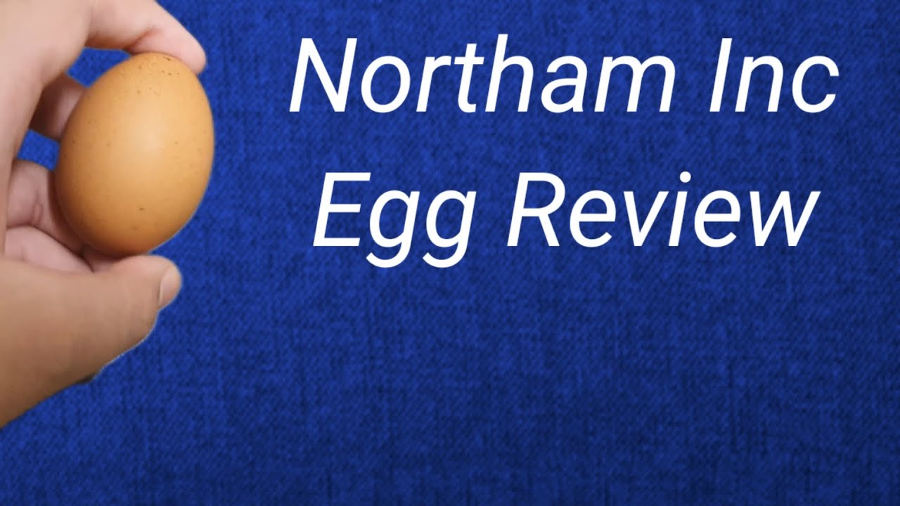 Egg Review - YouTube