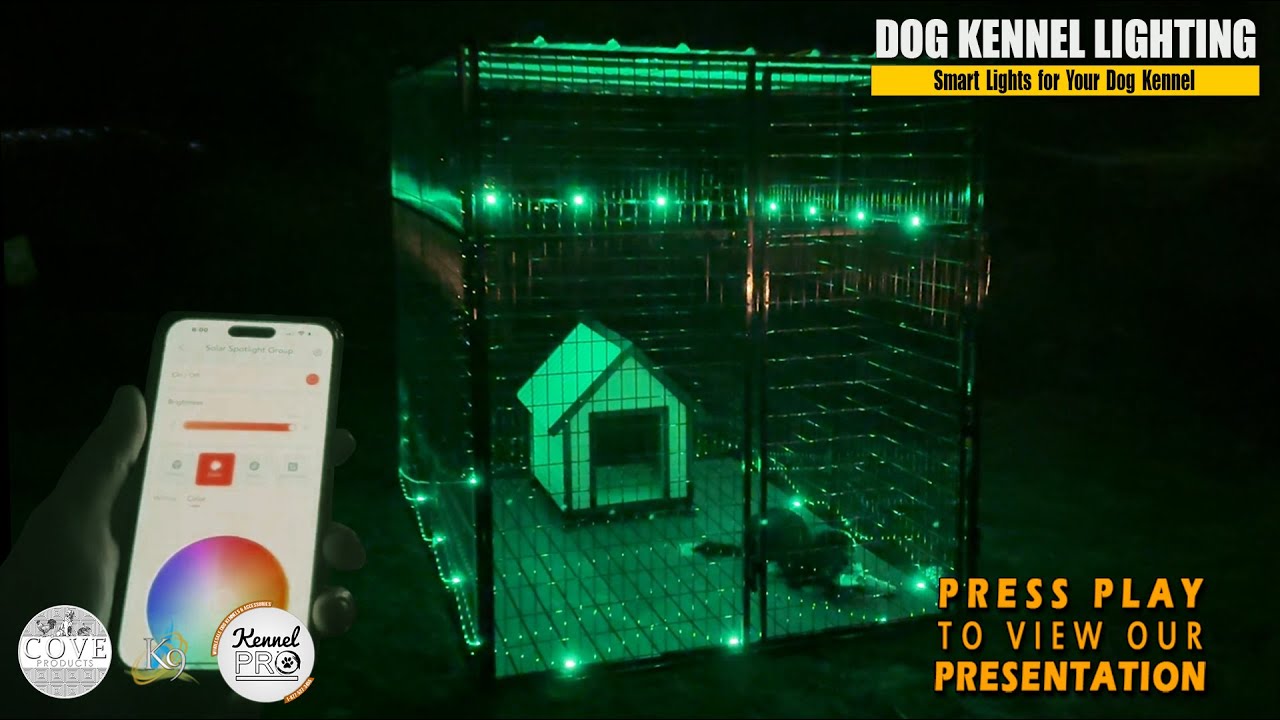Best Dog Kennel Lighting Systems: Illuminate Your Backyard with Style ...