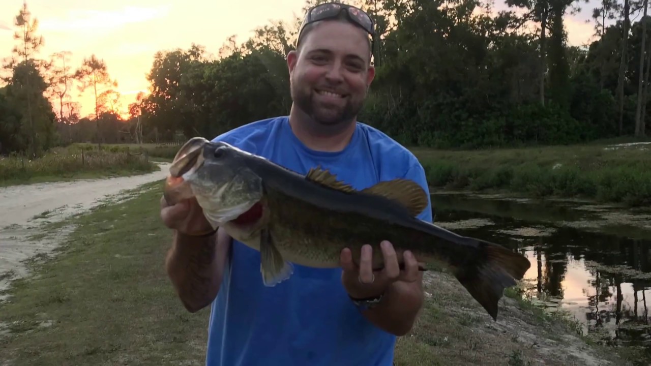 6lb + MONDO! Caught my PB Largemouth bass fishing the Fort Myers canal ...