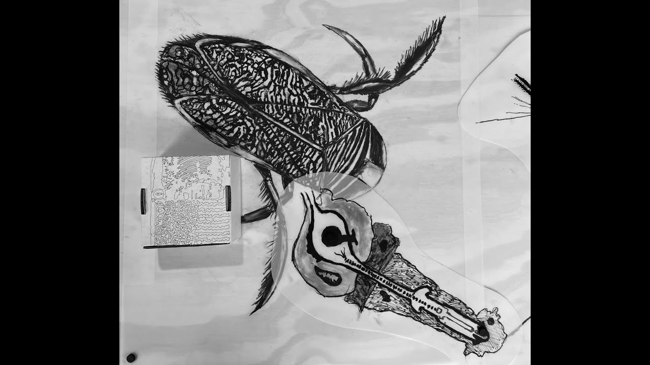 Making Waves - 20230812 - Insect Sound Reception and Resonant Tubes ...