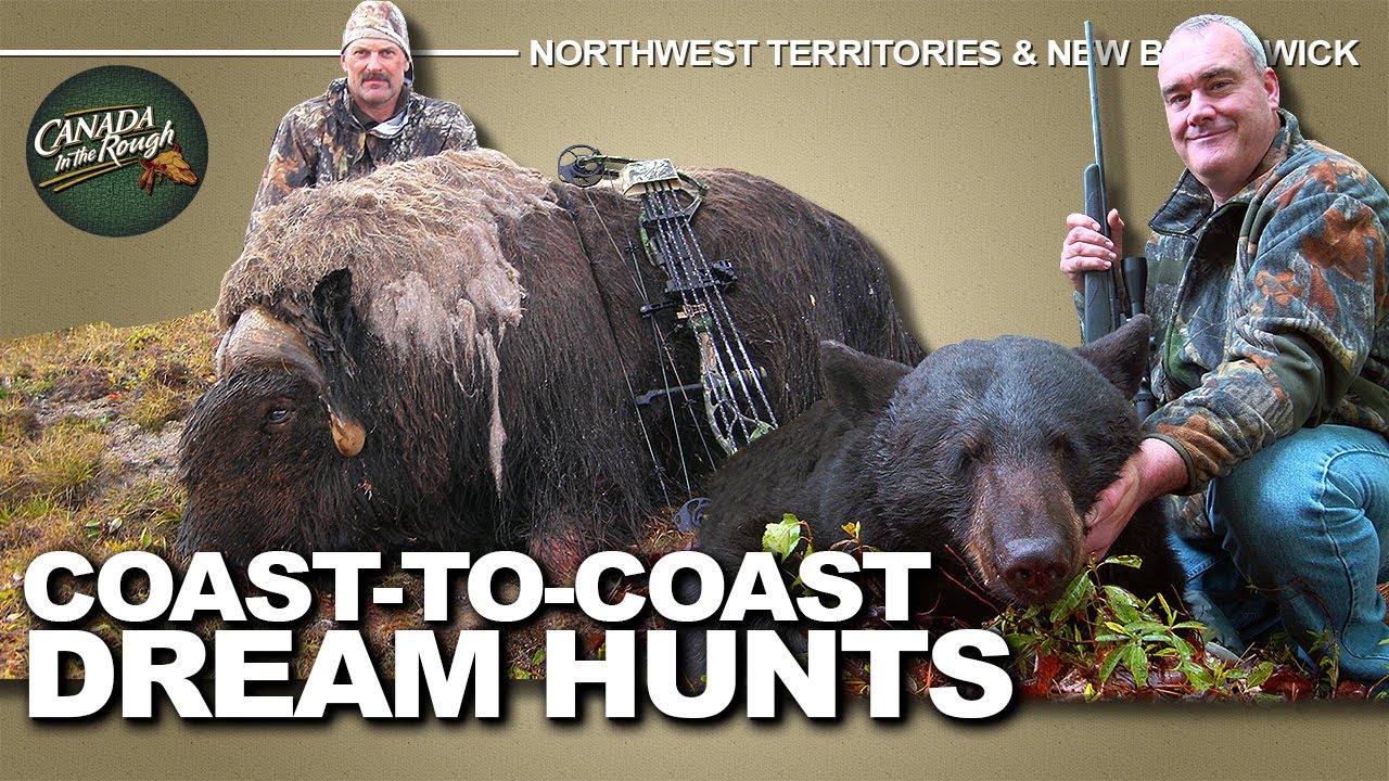 Hunting Muskox in Northwest Territories and Black Bear in New Brunswick ...