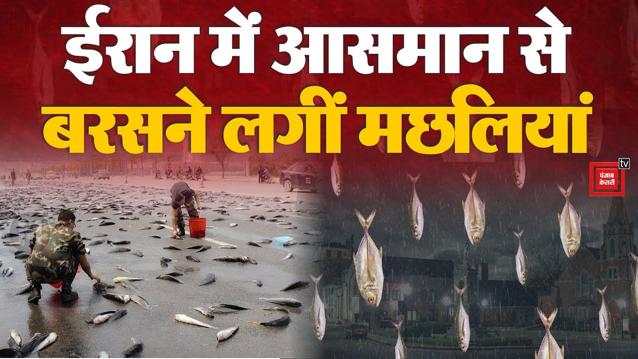 ईरान में चमत्कार!, अचानक आसमान से बरसने लगीं मछलियां | Fish Rain In ...