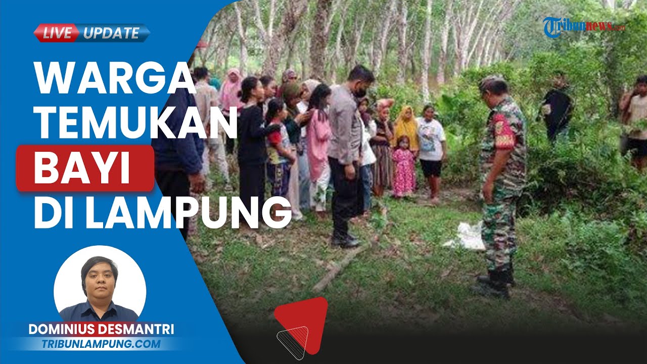 Penemuan 2 Bayi di Lokasi dan Waktu yang Berbeda Gegerkan Warga Sabah Balau Lampung Selatan ...