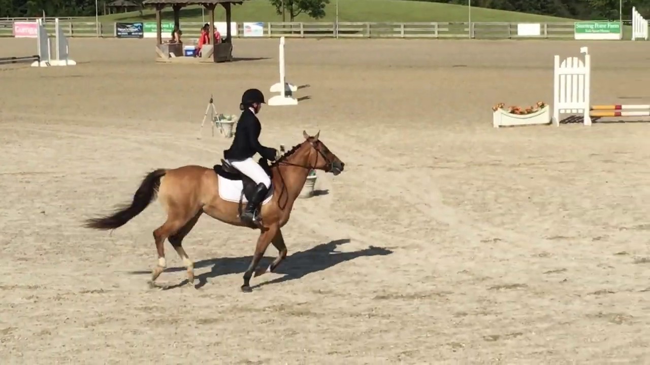 2018 SESSC - AMOEBA 3 Phase Young Rider -Stadium Jumping- Lauren ...