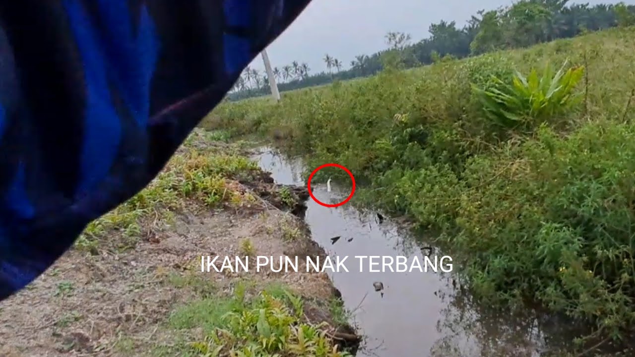 Casting Spot Pingiran jalan Masih Ada Haruannya - YouTube