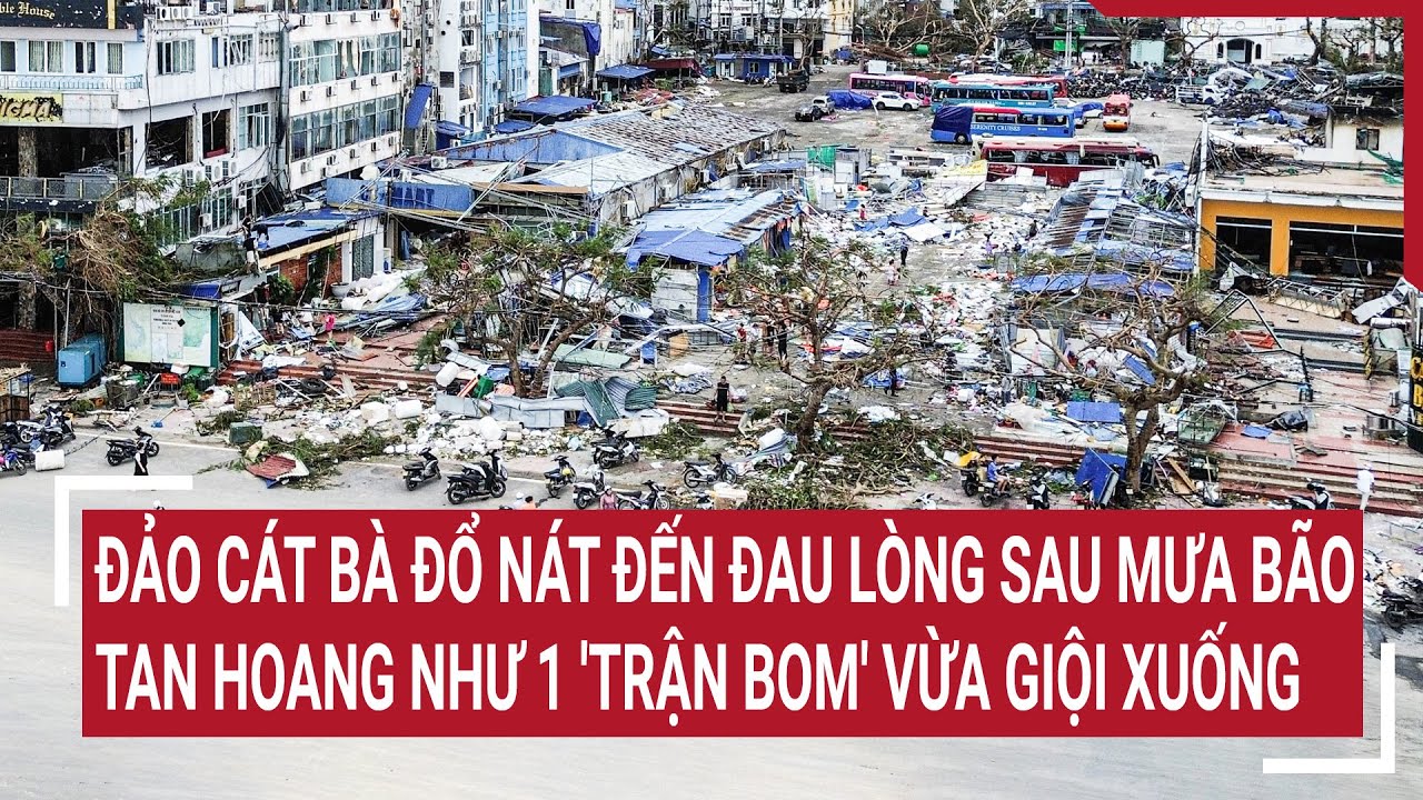 Đảo Cát Bà đổ nát đến đau lòng sau mưa bão, tan hoang như 1 'trận bom ...