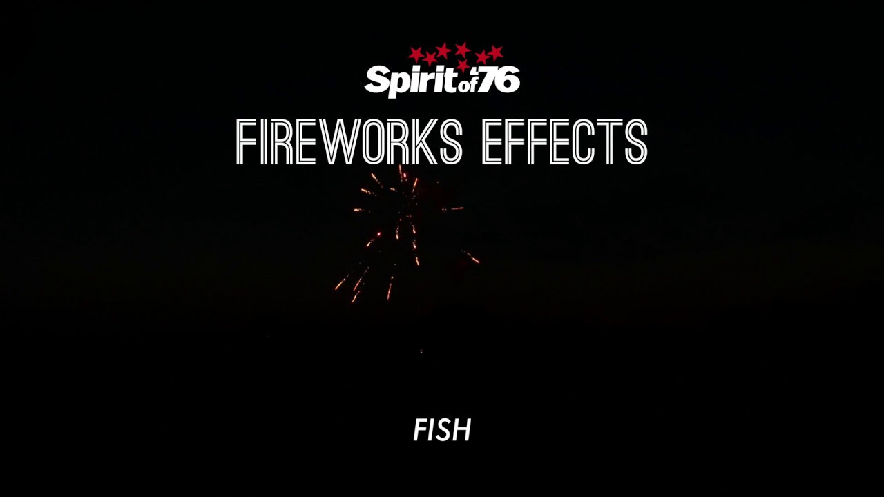 Fireworks Effects - Fish - YouTube