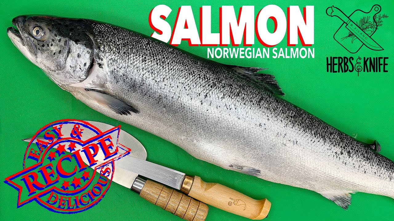 NORWEGIAN SALMON RECIPE - YouTube