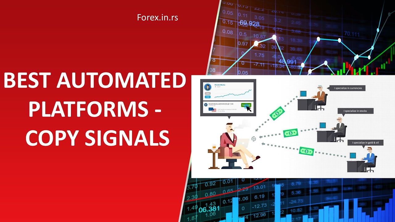 Best Automated Trading Platforms to Copy Trades! - YouTube