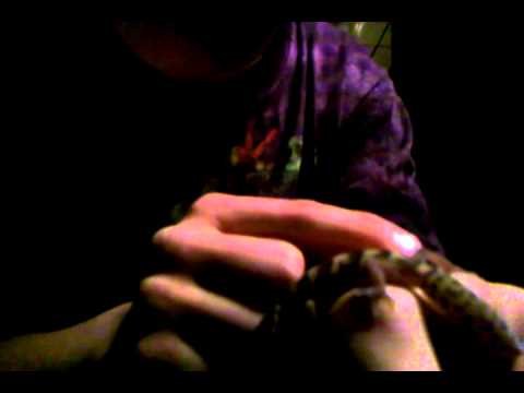 Evan and gilly the gecko - YouTube