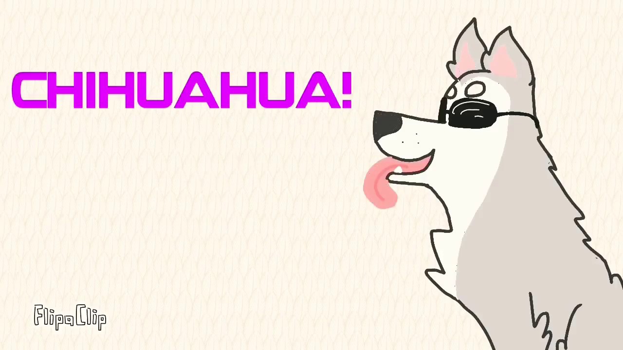 Chiwawa ~ Meme (50 sub special) - YouTube