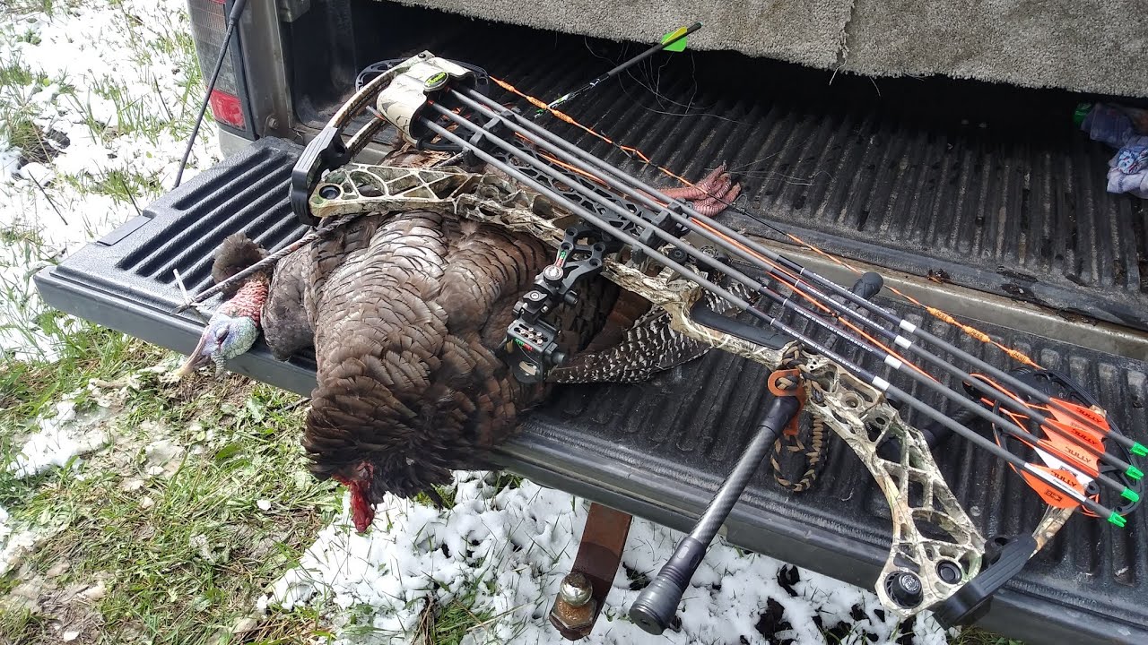 Turkey Decapitation in slow motion - YouTube