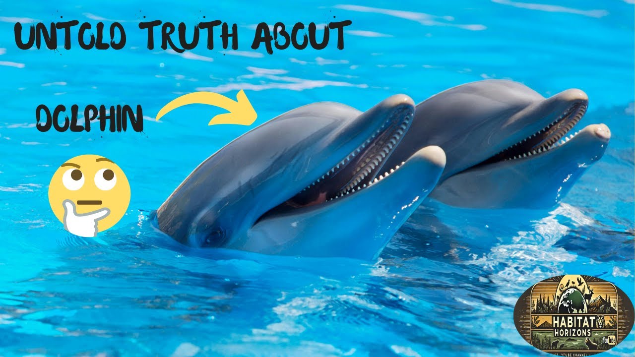 The Untold Truth About Dolphin #HbitatHorizons#facts - YouTube