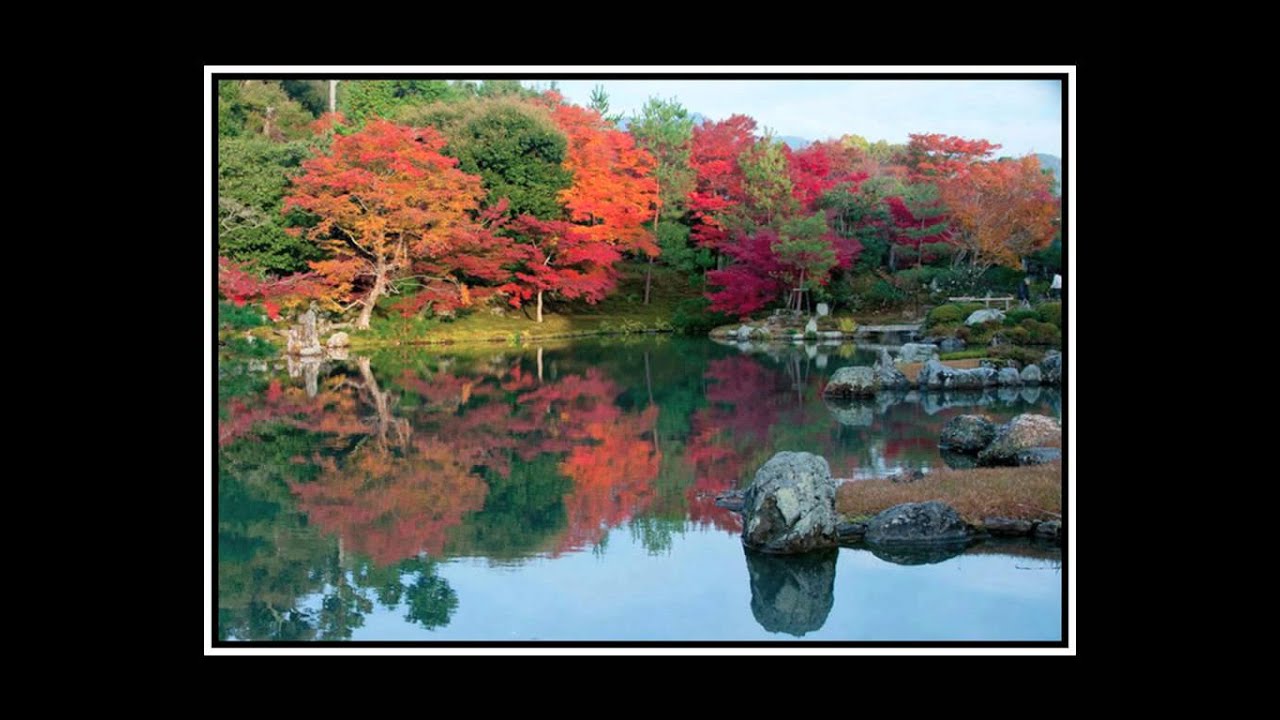 Samples Nikon D700 Photo - YouTube