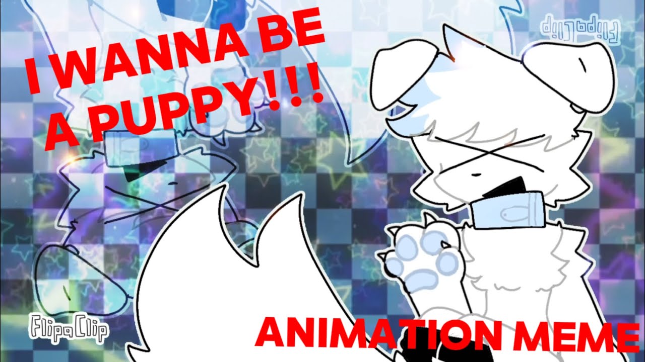 I WANNA BE A PUPPY!!! ☆ | Animation Meme | Ft: Charlie | YT ruined the ...