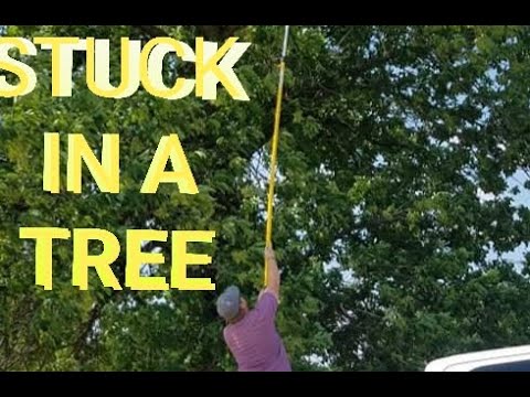 Stuck in a huge tree! - YouTube