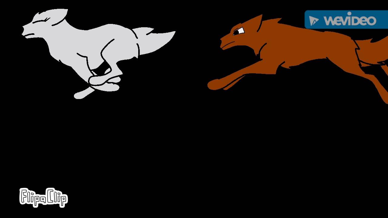 Wolf Animation Test - YouTube