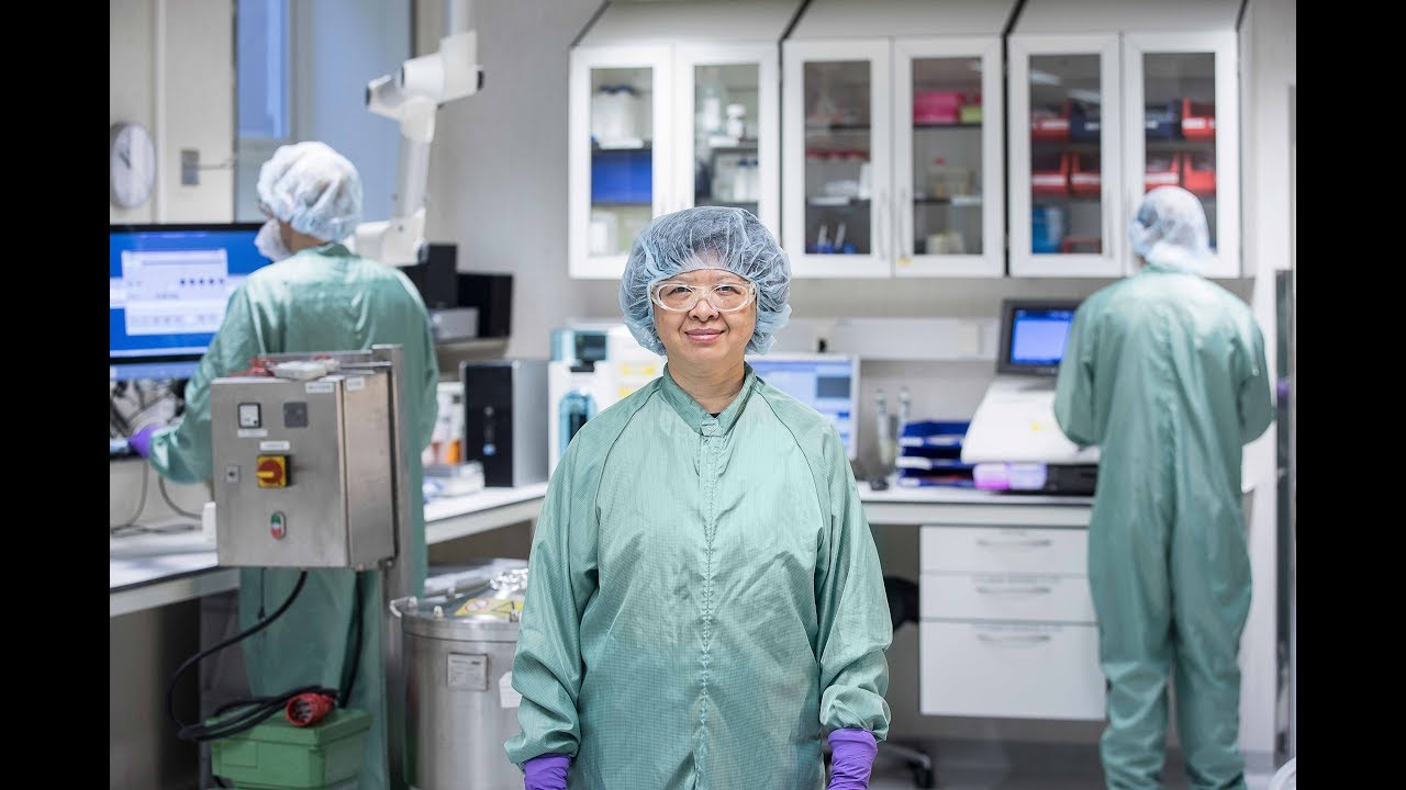 Mei - Recombinant technology - YouTube