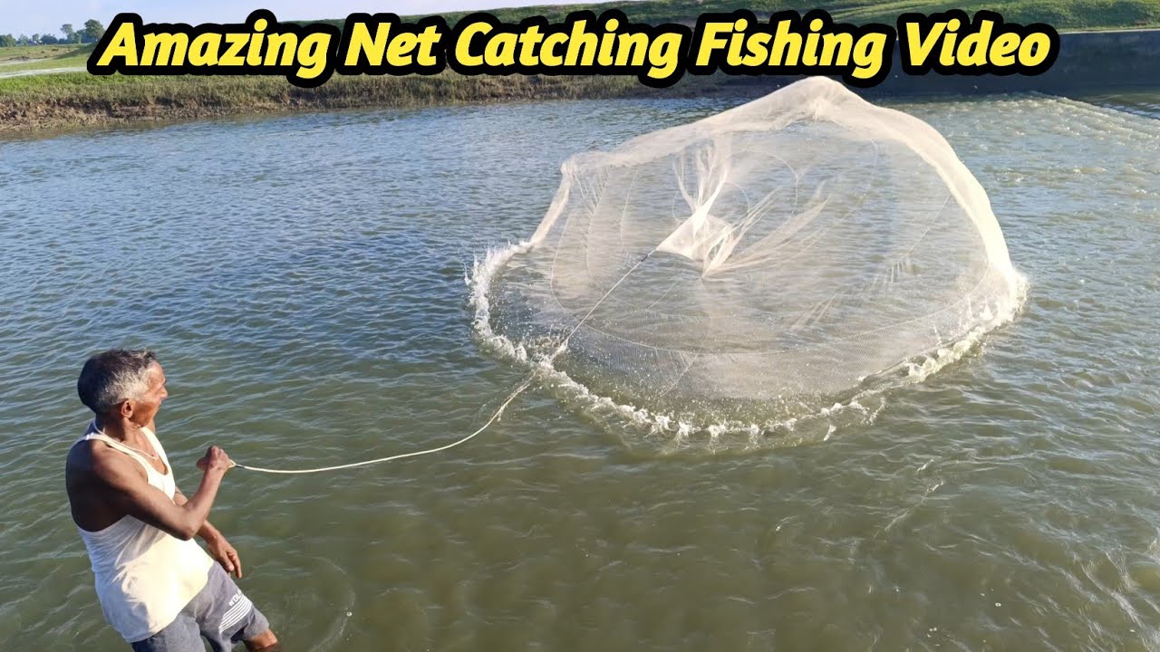 Amazing Net Catching Fishing Video ! Cast Net Catching Fish ! Fishing ...