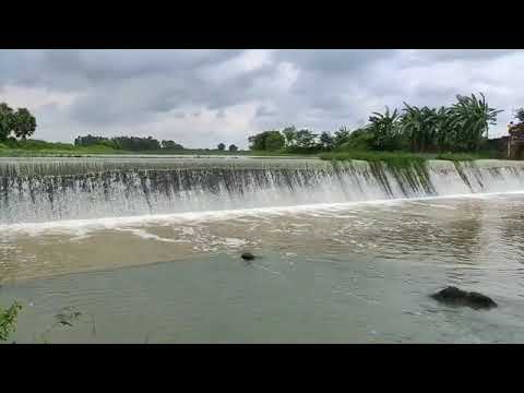 please support me i promise best short status video upload for next