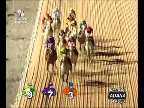 Adana Hipodromu (37. Yarış Günü) 4. Koşusu