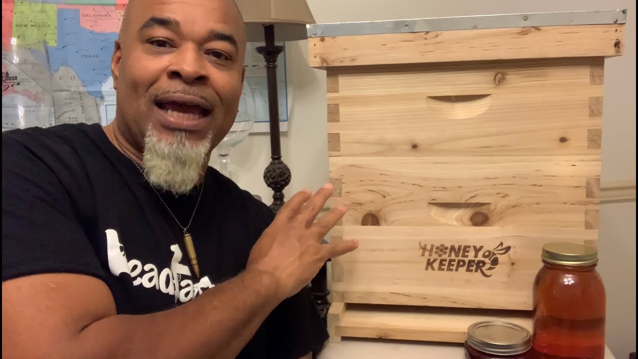 Amazon Beehive Build part ☝🏽S.O.Bee’s 🐝 - YouTube