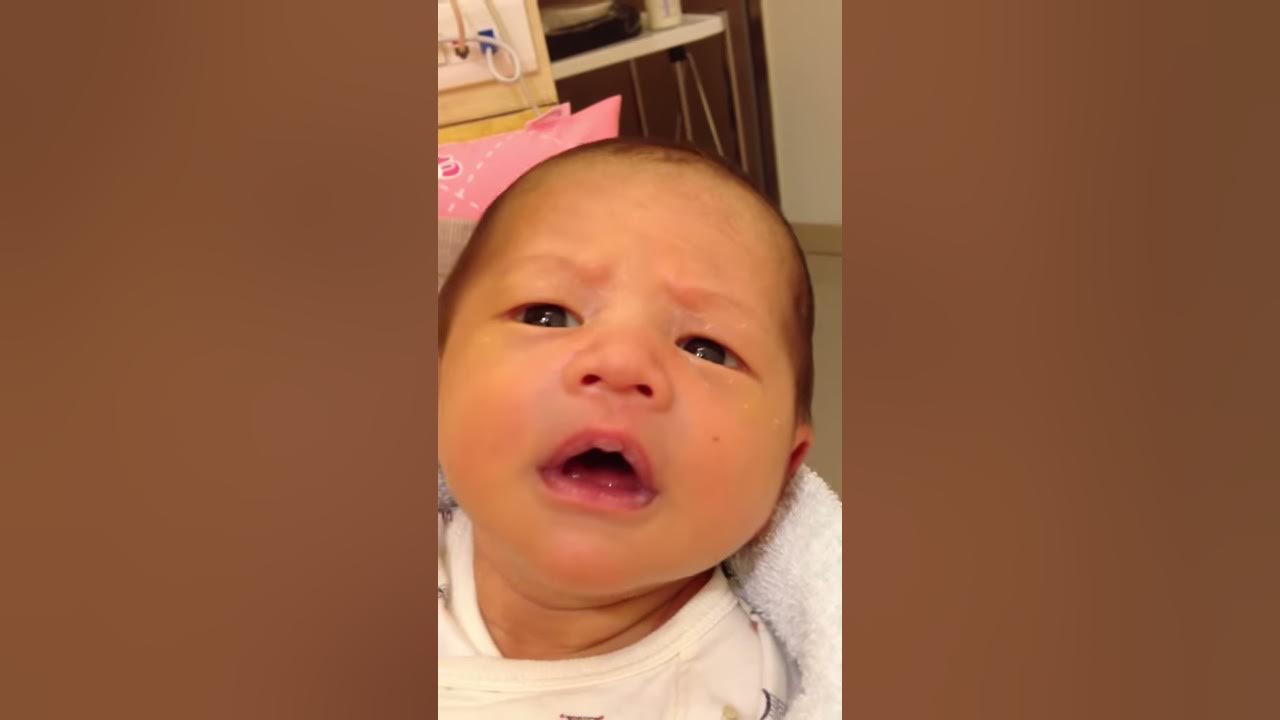 IMG 1090 YouTube img-1090-youtube