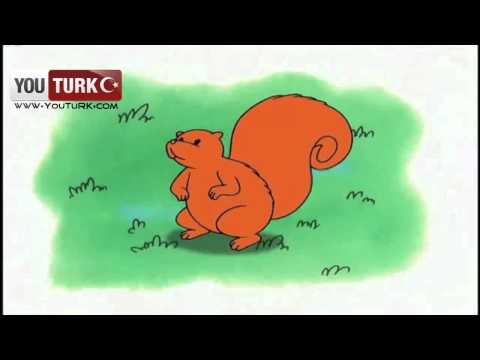 Caillou Türkce - Caillou kampa gidiyor